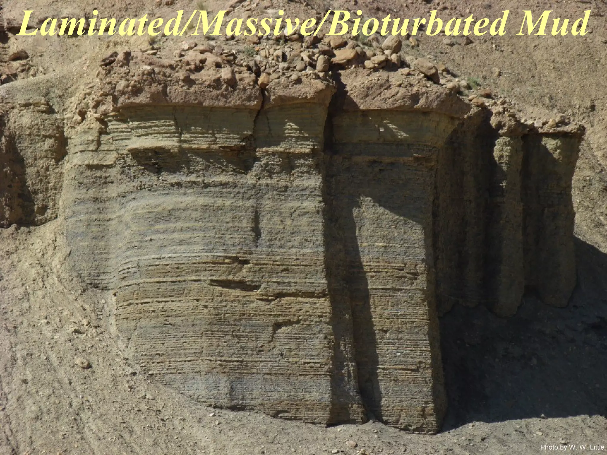 Deep Sea Fan Systems | PPT