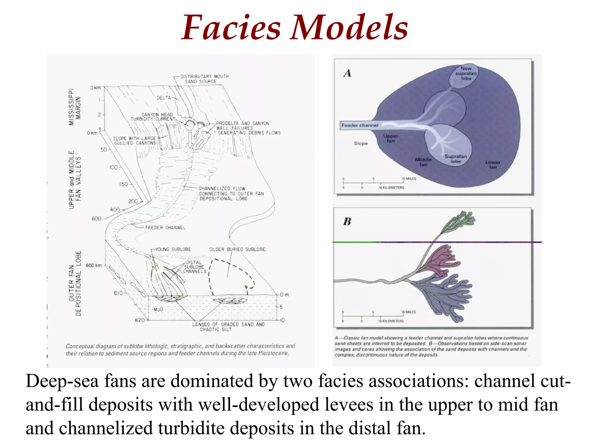 Deep Sea Fan Systems | PPT
