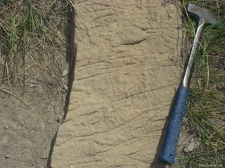 Deep Sea Fan Systems | PPT