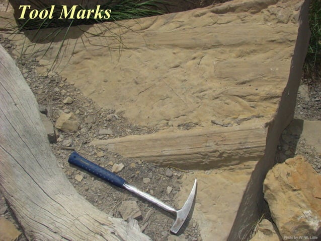 Deep Sea Fan Systems | PPT