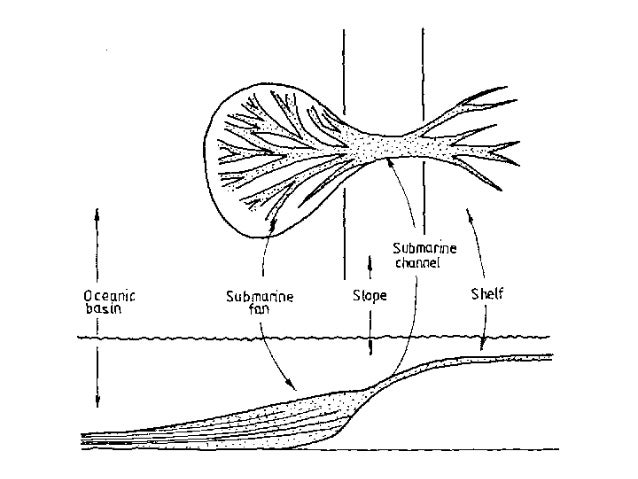 Deep Sea Fan Systems