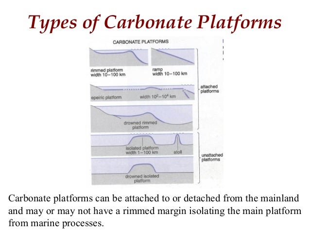 Carbonate Depositional Systems