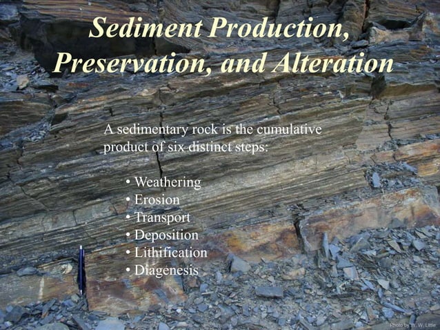 Introduction to Sedimentology and Stratigraphy
