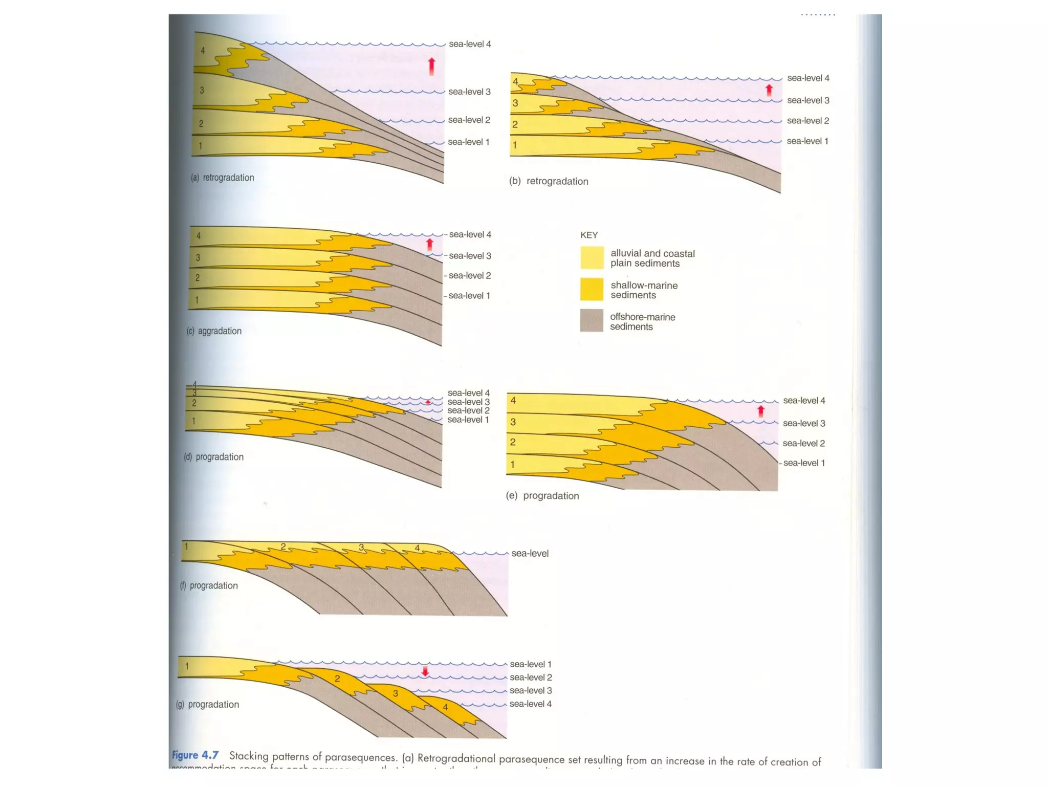 Principles of Stratigraphy | PPT