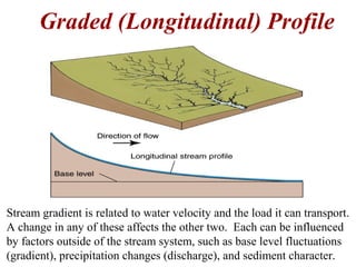 Principles of Stratigraphy | PPT