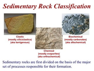 Biochemical Sedimentary Rocks