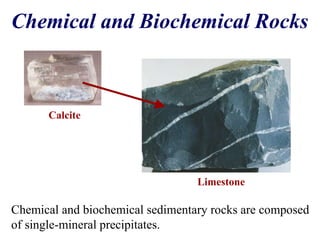 Biochemical Rocks