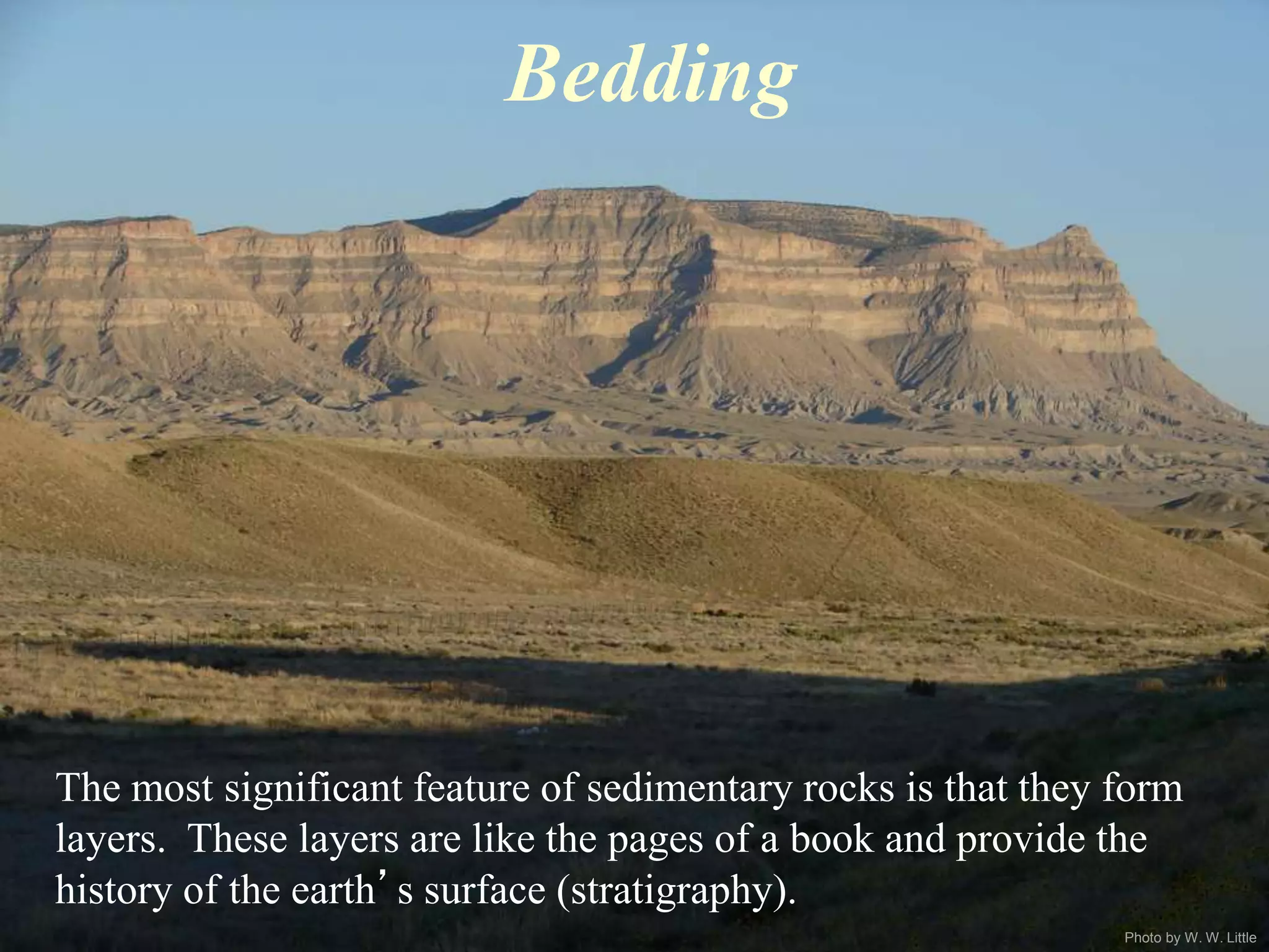 Introduction to Sedimentary Structures - Part 1 | PPTX