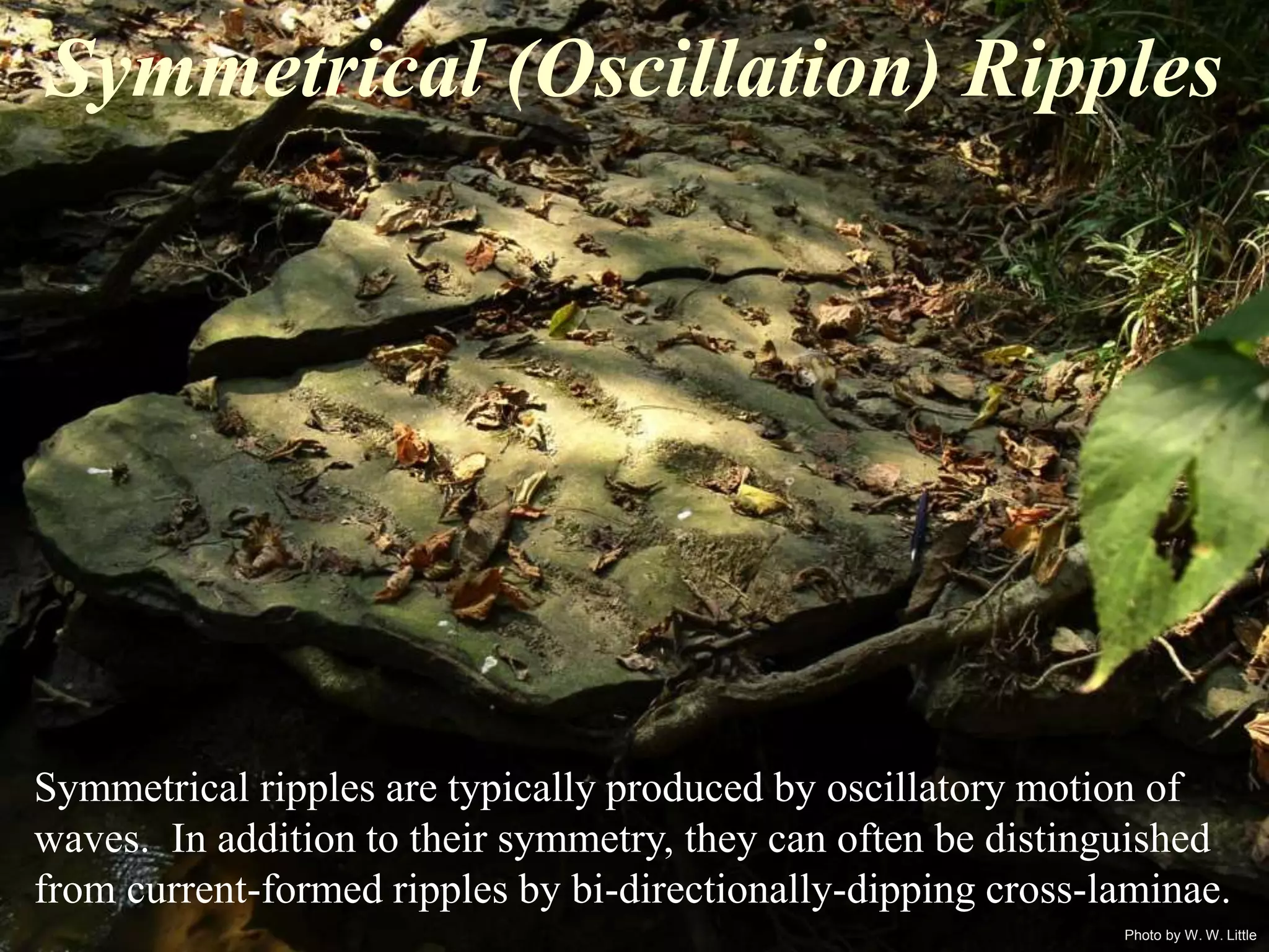 Introduction to Sedimentary Structures - Part 1 | PPTX