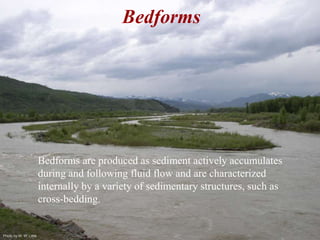 Introduction to Sedimentary Structures - Part 1 | PPTX