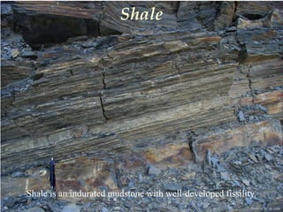 Classification of Mudstone | PPTX