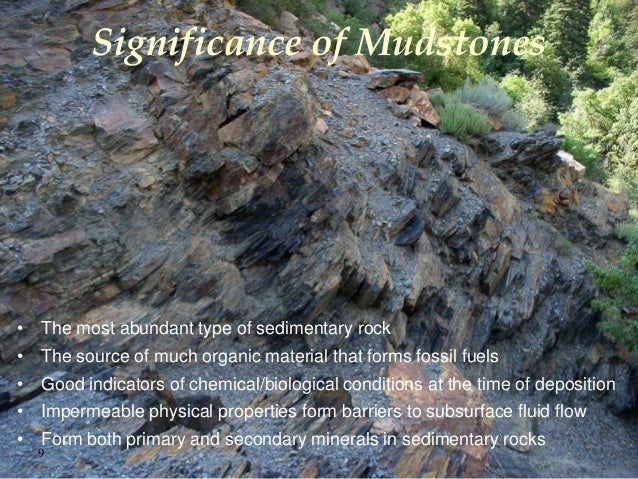 Classification of Mudstone