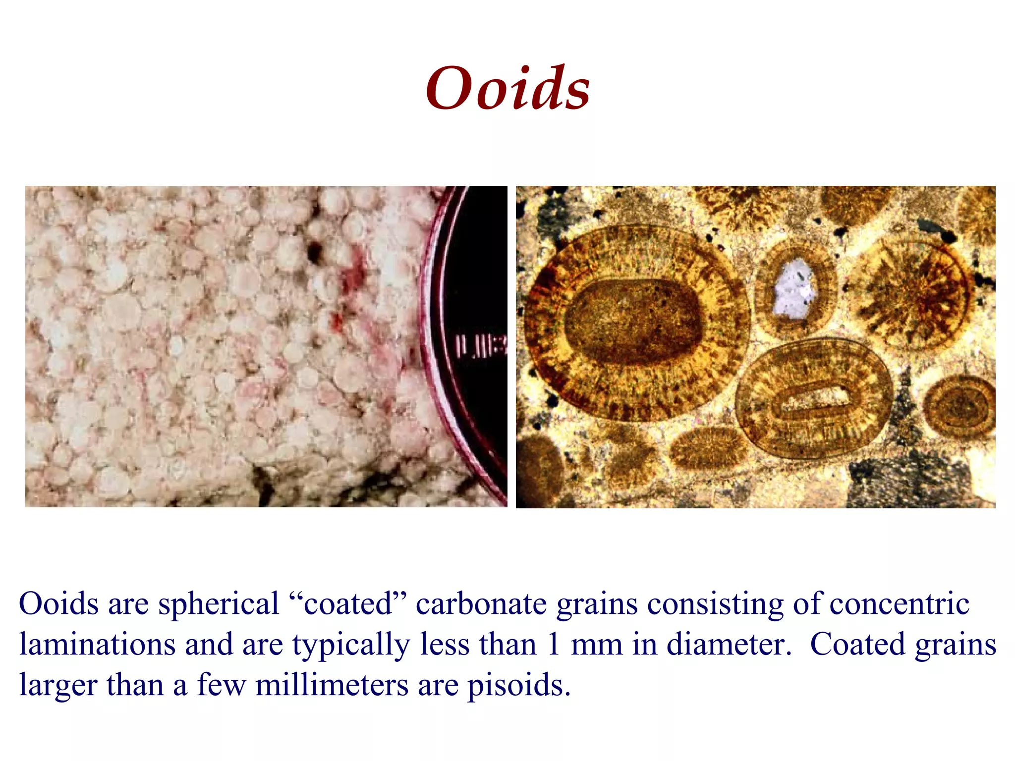 Classification of Carbonates | PPT