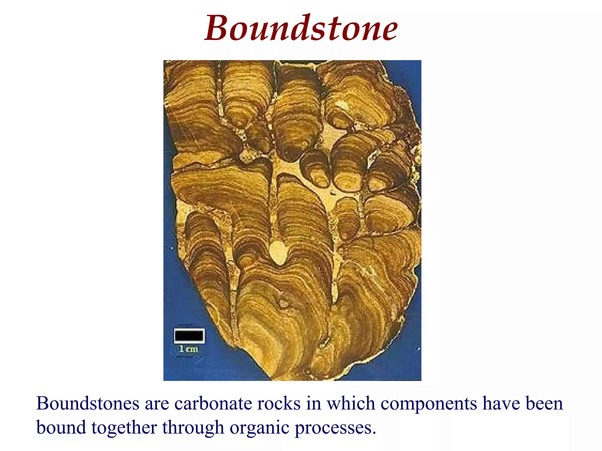 Classification of Carbonates | PPT