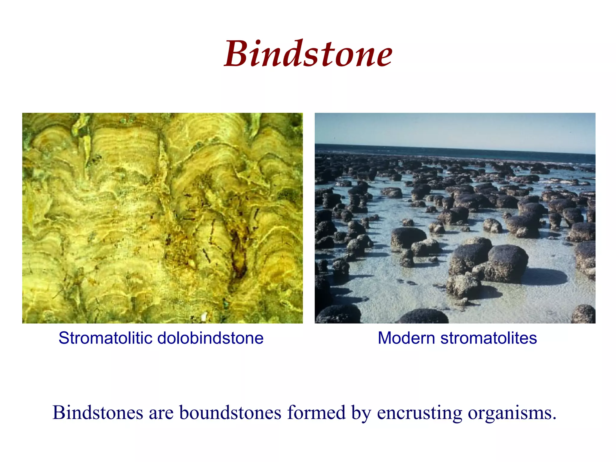 Classification of Carbonates | PPT