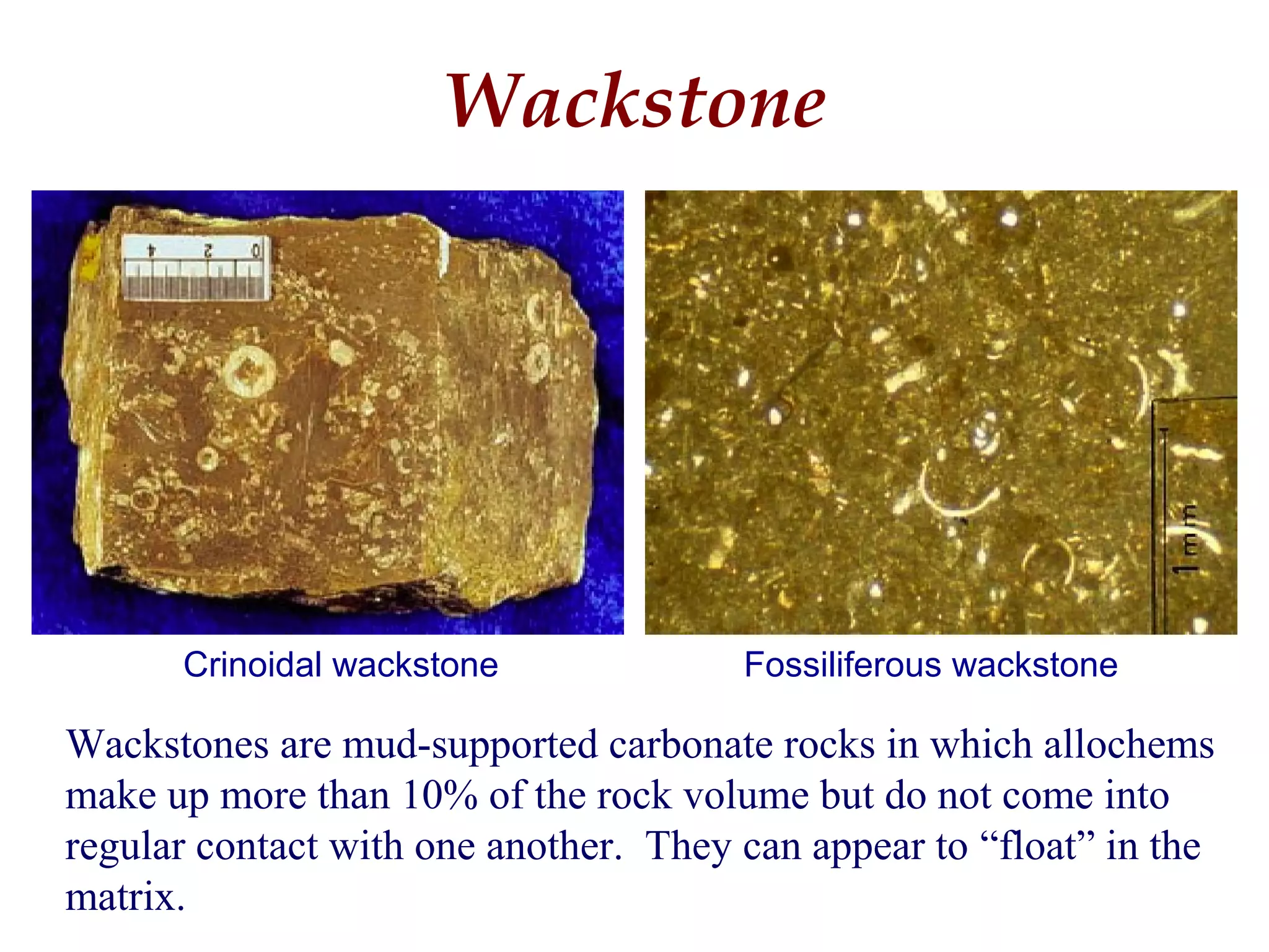 Classification of Carbonates | PPT