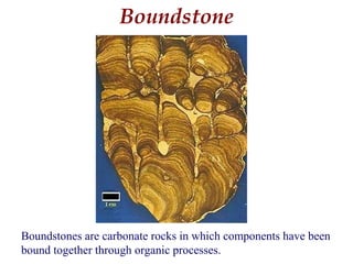 Classification of Carbonates | PPT