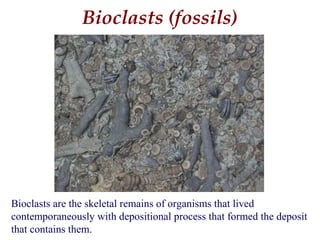 Classification of Carbonates | PPT