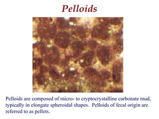Classification of Carbonates | PPT
