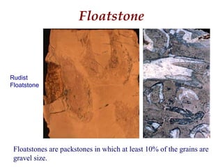 Classification of Carbonates | PPT