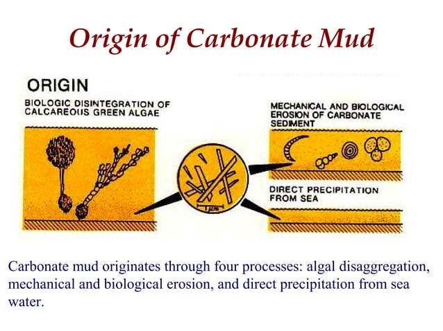 Classification of Carbonates | PPT