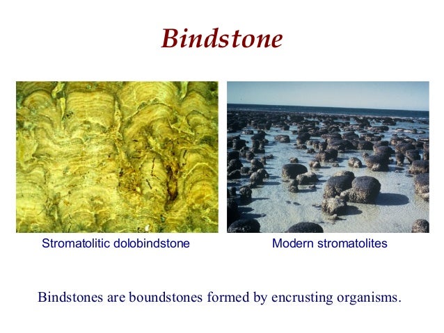Classification of Carbonates