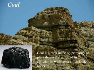 Sedimentary Rocks Coal