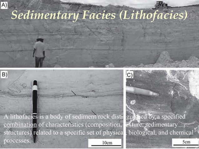 Facies Models | PPT | Geology | Science