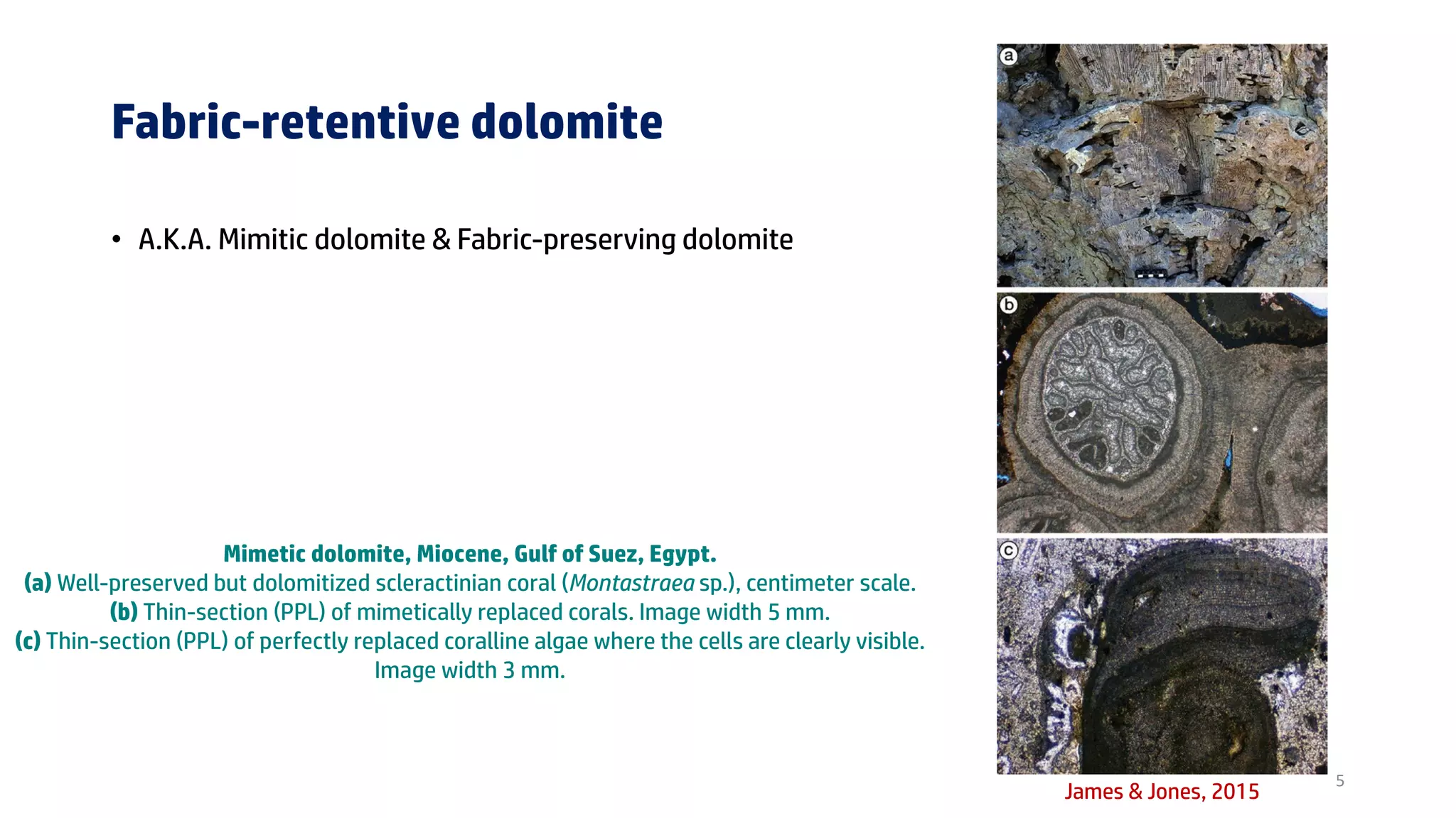 Dolomite; Petrography & Geochemistry | PDF