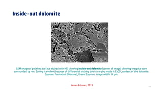 Dolomite; Petrography & Geochemistry | PDF
