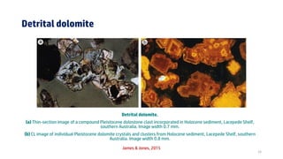 Dolomite; Petrography & Geochemistry | PDF