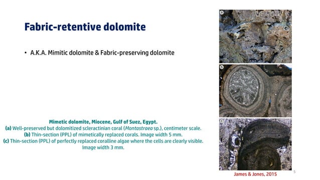 Dolomite; Petrography & Geochemistry | PDF