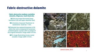 Dolomite; Petrography & Geochemistry | PDF