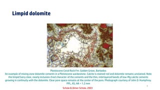 Dolomite; Petrography & Geochemistry | PDF