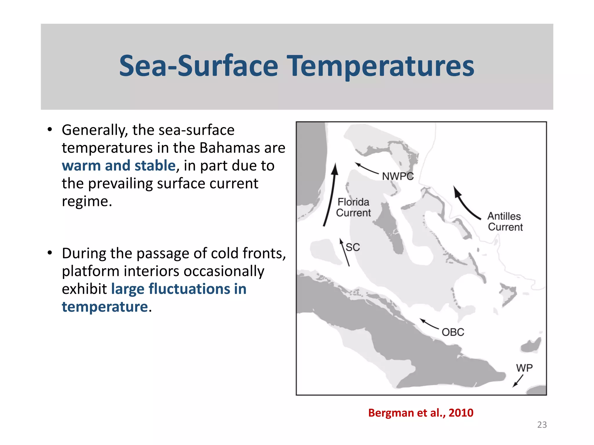 Geology of the Bahamas - I | PDF