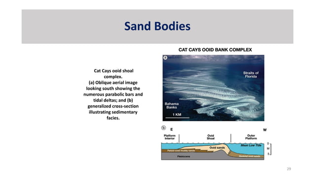 Geology of the Bahamas - II | PDF | Geography | Science