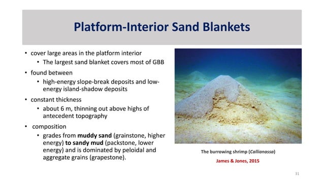 Geology of the Bahamas - II | PDF | Geography | Science