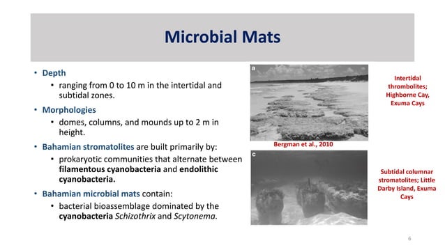 Geology of the Bahamas - II | PDF | Geography | Science
