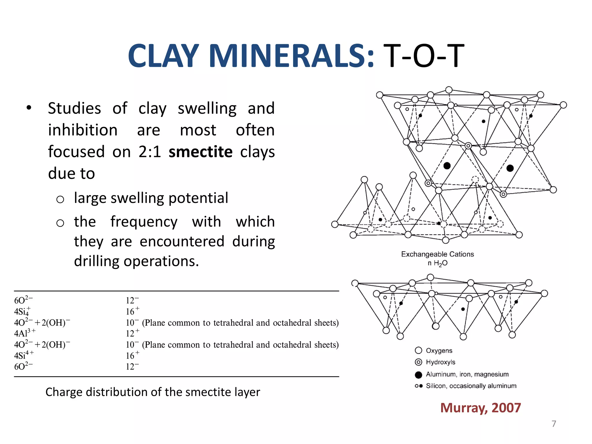 Preventing Clay Swelling | PDF