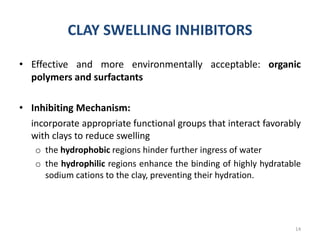 Preventing Clay Swelling | PDF