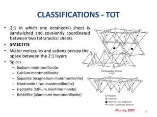 Clay Minerals: Classifications, Identifications, Structures, and ...