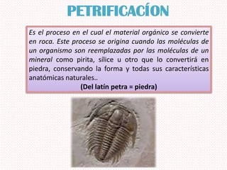 Paleontologia | PPTX
