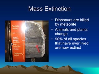 Geologic Time Lecture | PPT