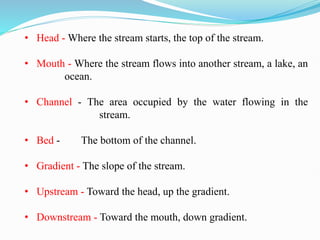 Geologic Action of river.pdf