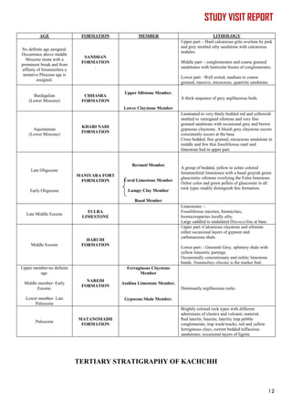 Geological geomorphological-studies-kachchh-bhuj-report | PDF
