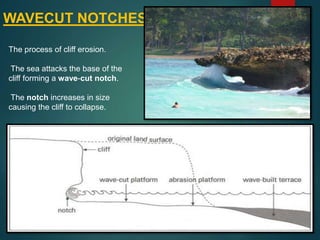 waves and currents | PPTX