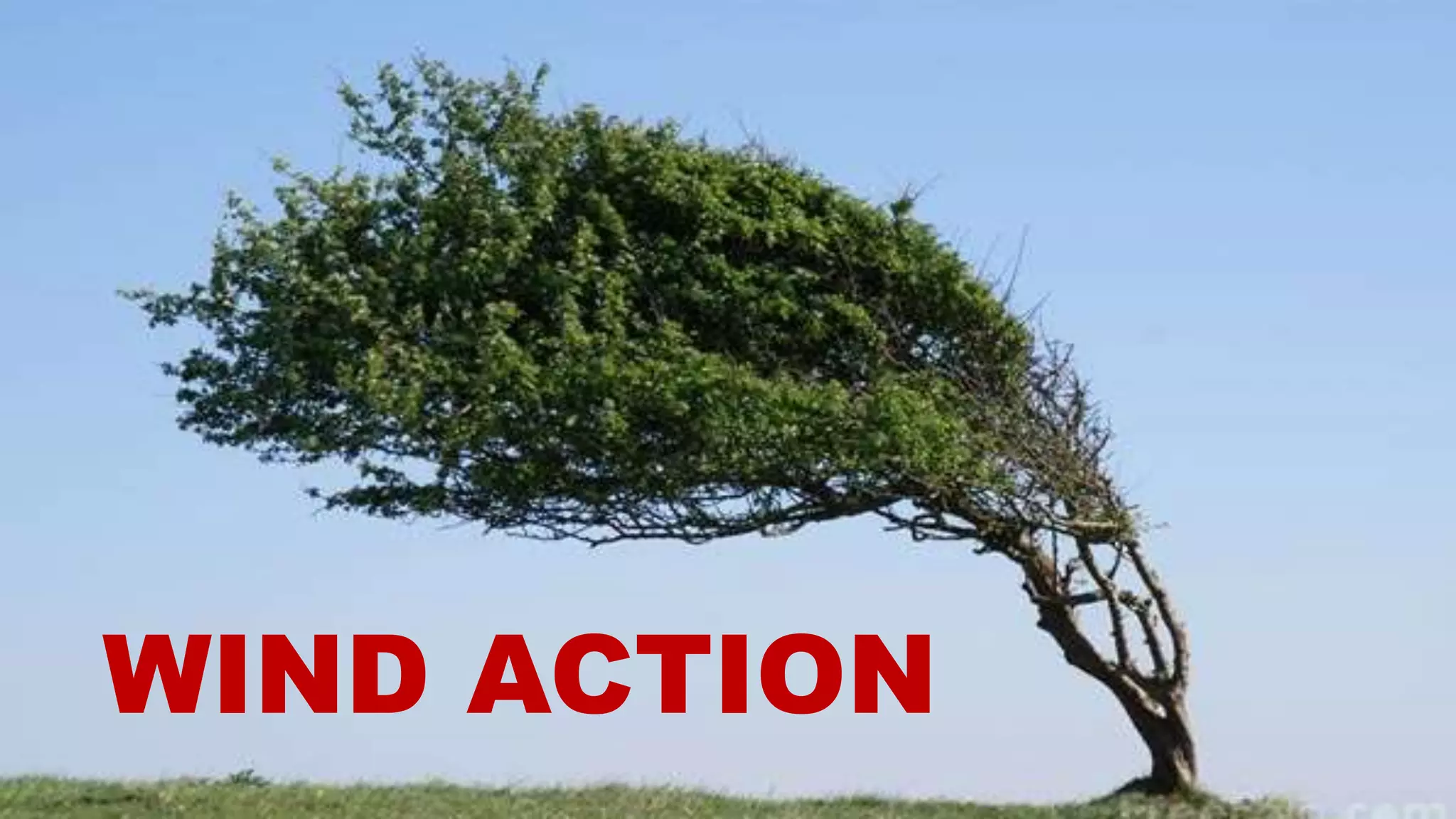 Geological action of wind | PPT