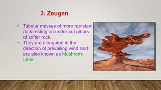 Geological action of wind | PPT
