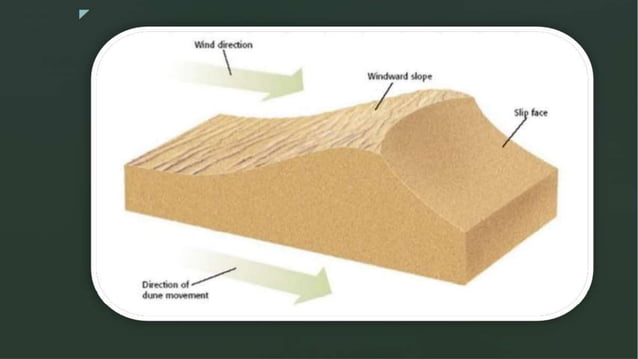 Geological action of wind | PPT | Geology | Science