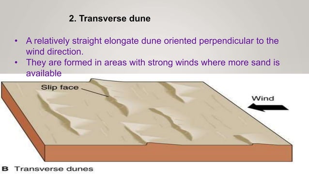 Geological action of wind | PPT | Geology | Science